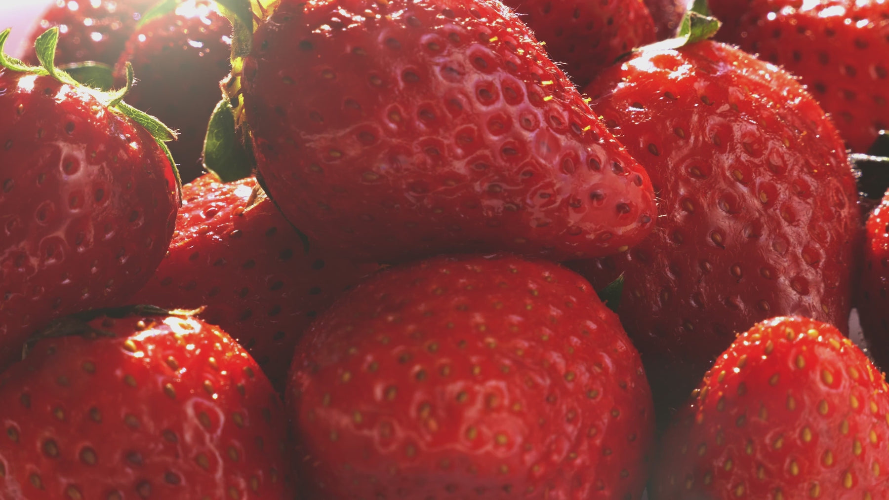 Jack & Sun Farms – jackandsun